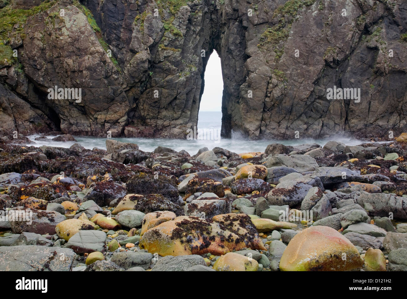 Harris beach state park hi-res stock photography and images - Alamy