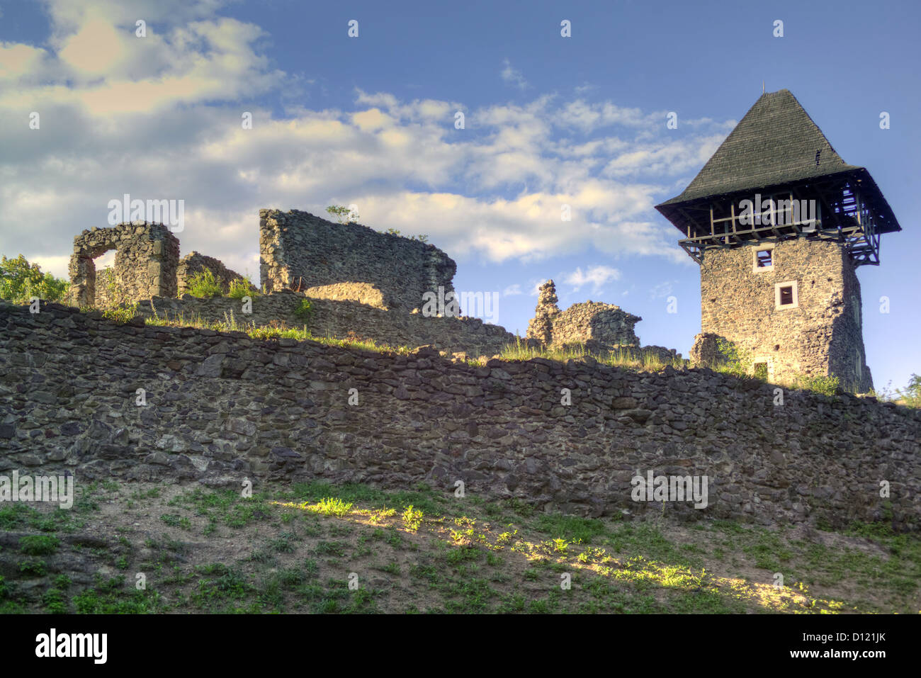 Nevitsky Castle ruins built in 13th century Ukraine Stock Photo - Alamy