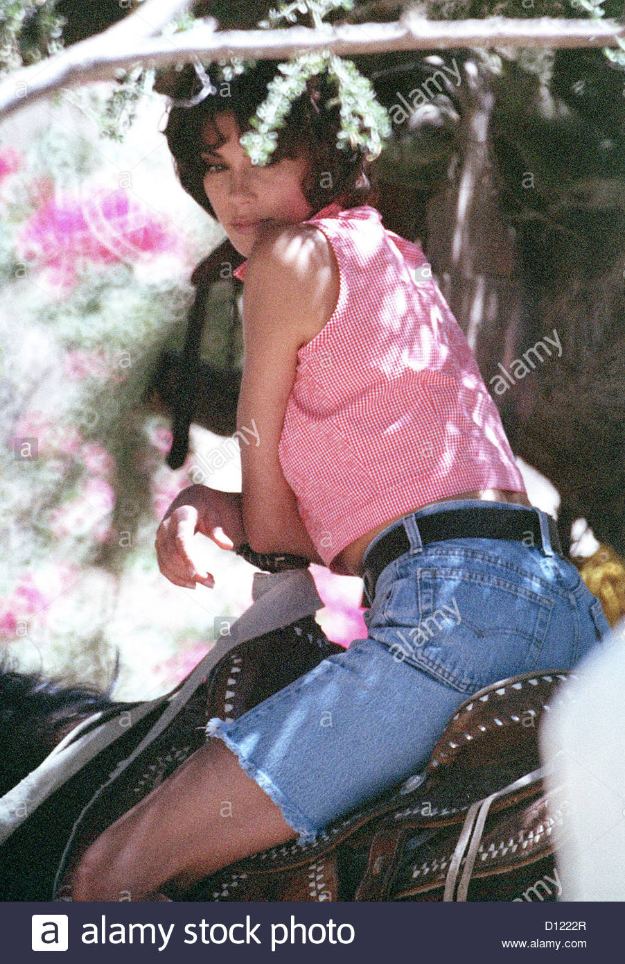 Terri Hatcher High Resolution Stock Photography and Images - Alamy