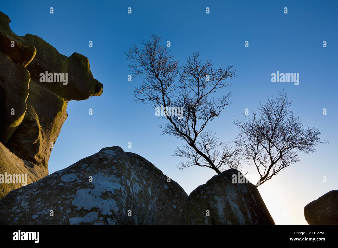 Sculpted Rock Formations And Lone Tree At Brimham Rocks; North ...