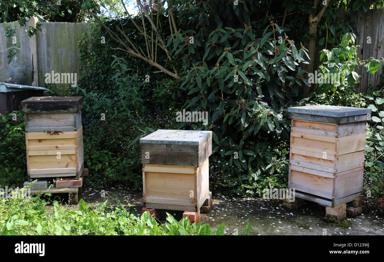 Three Beehives In Garden Surrey England Stock Photo - Alamy