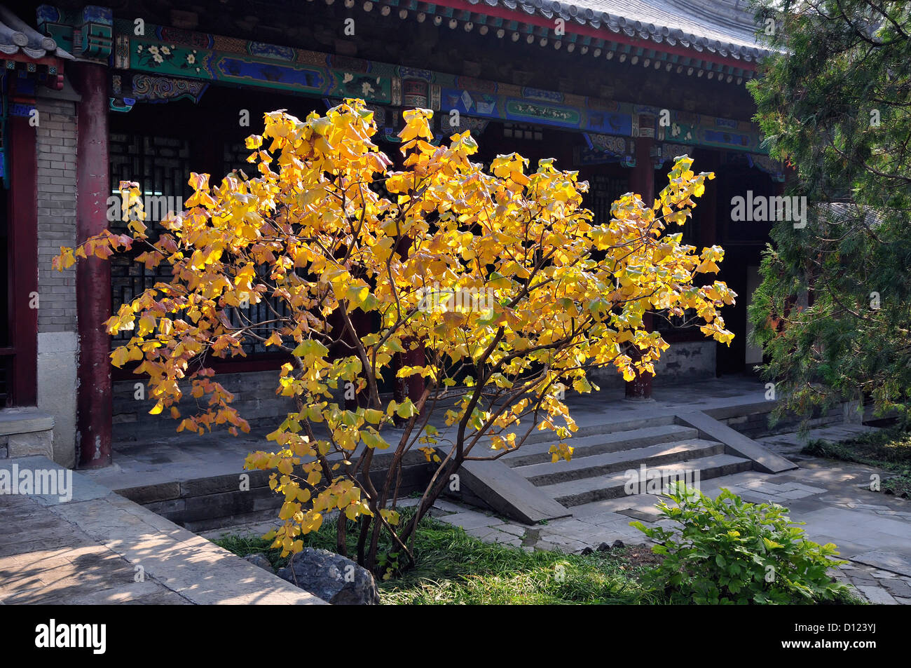 Traditional Chinese Architecture With Trees; Beijing China Stock Photo ...