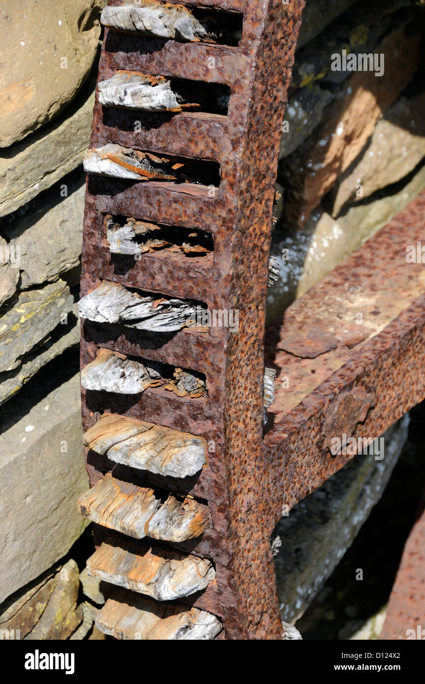 An old cast iron wheel with rotting wooden cogs or teeth.. Mainland ...