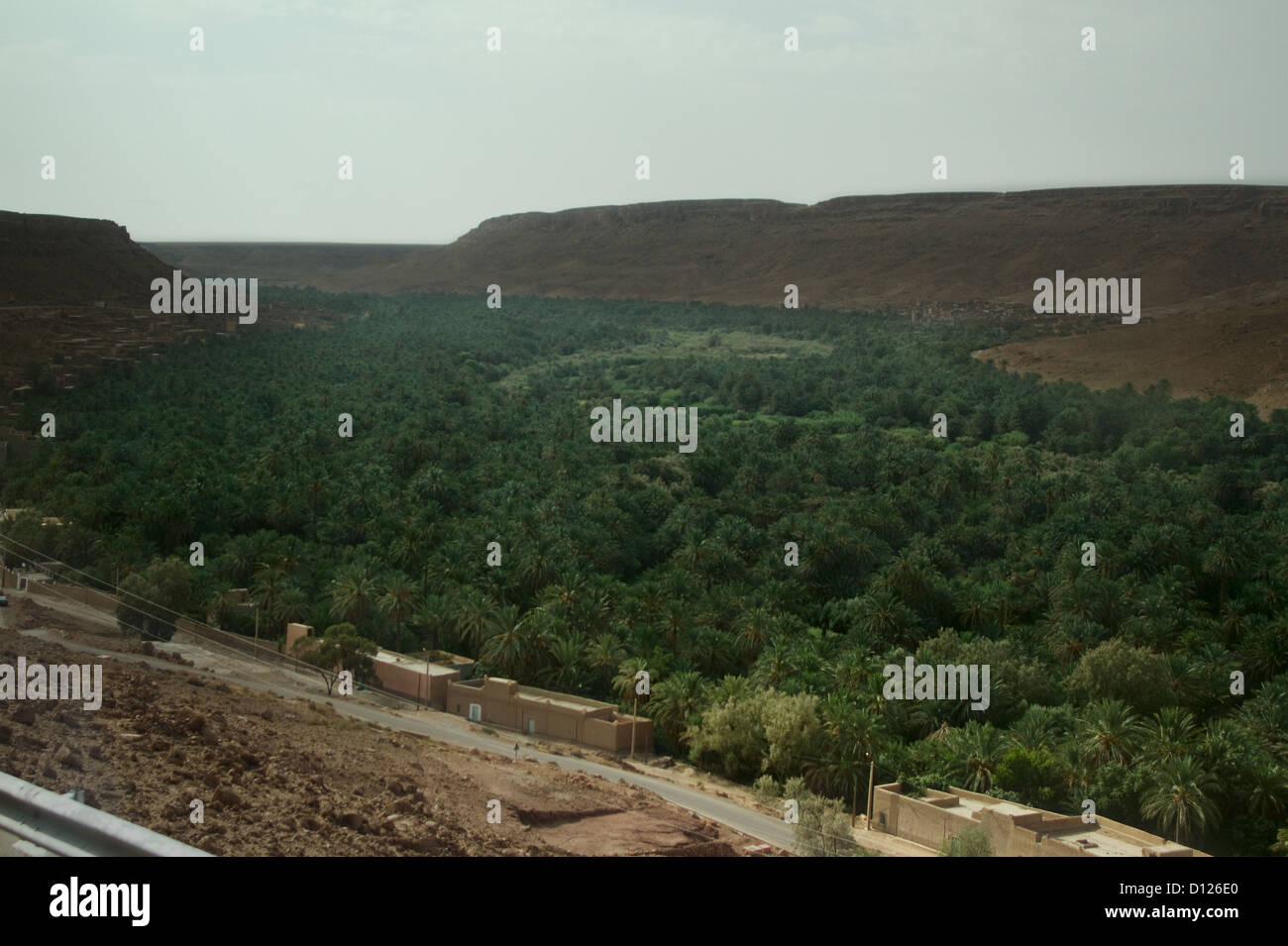 Oasis, Erfoud, Rissani, Morocco, Palm Stock Photo - Alamy