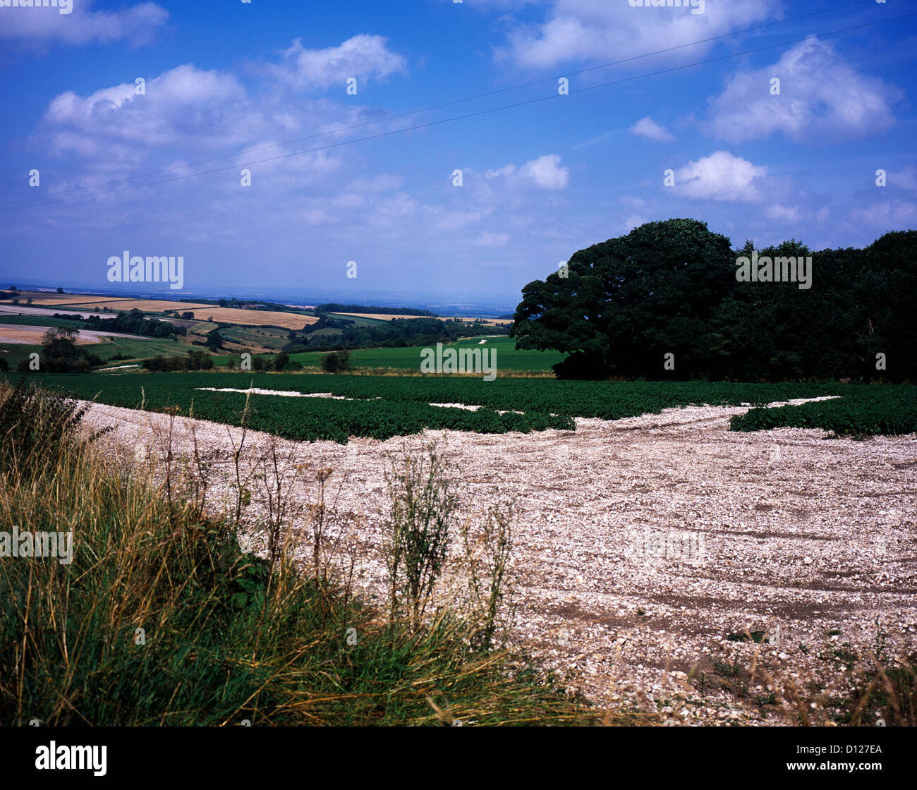 Chalky soil hi-res stock photography and images - Alamy