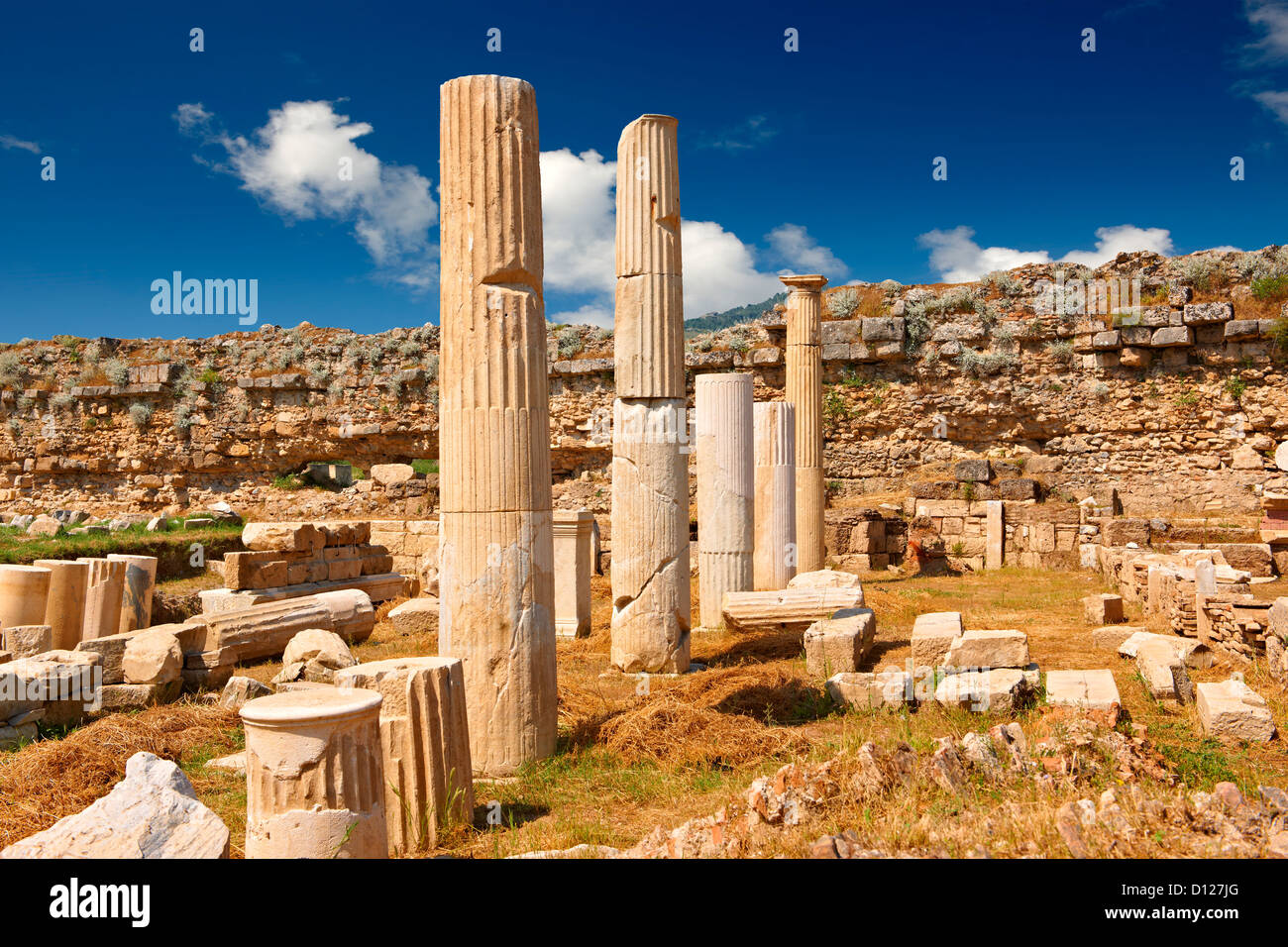 Columns around the sanctuary of Artimis with the Agora, Magnesia on the ...