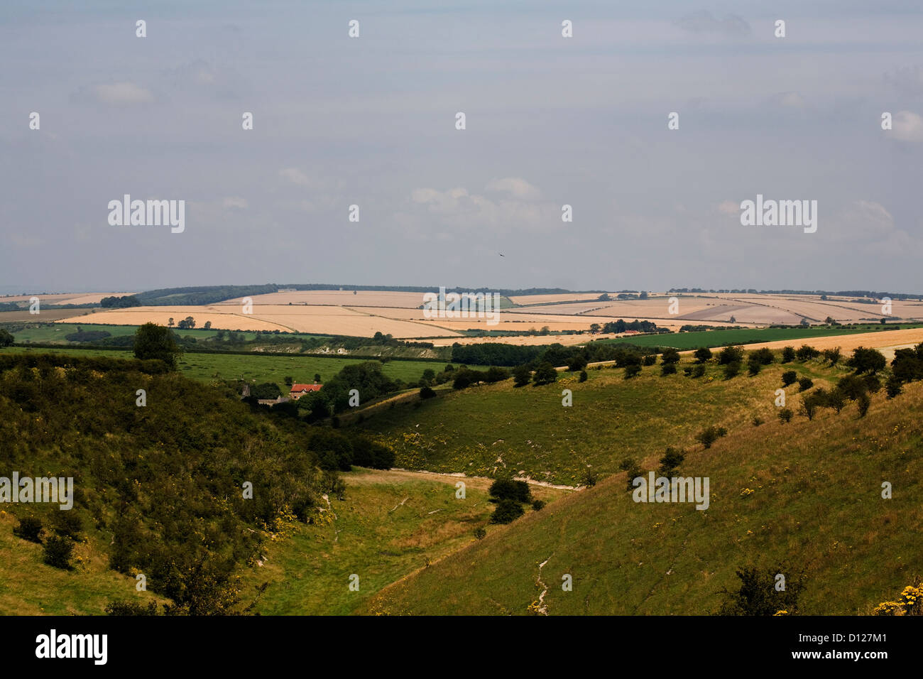 Dry chalk valley near Thixendale Yorkshire Wolds East Yorkshire England ...
