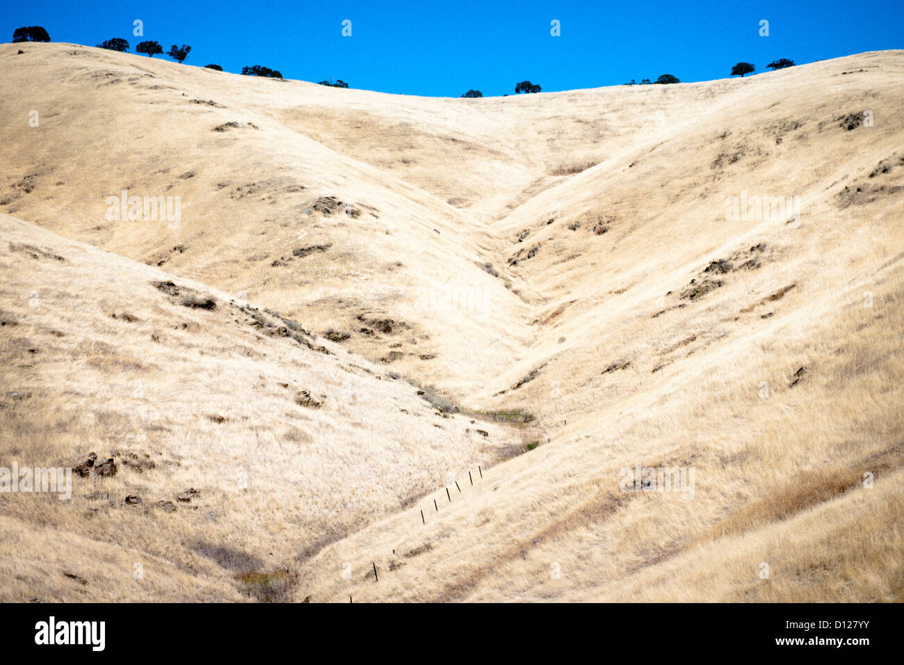Dry grass gully,northern California Stock Photo - Alamy