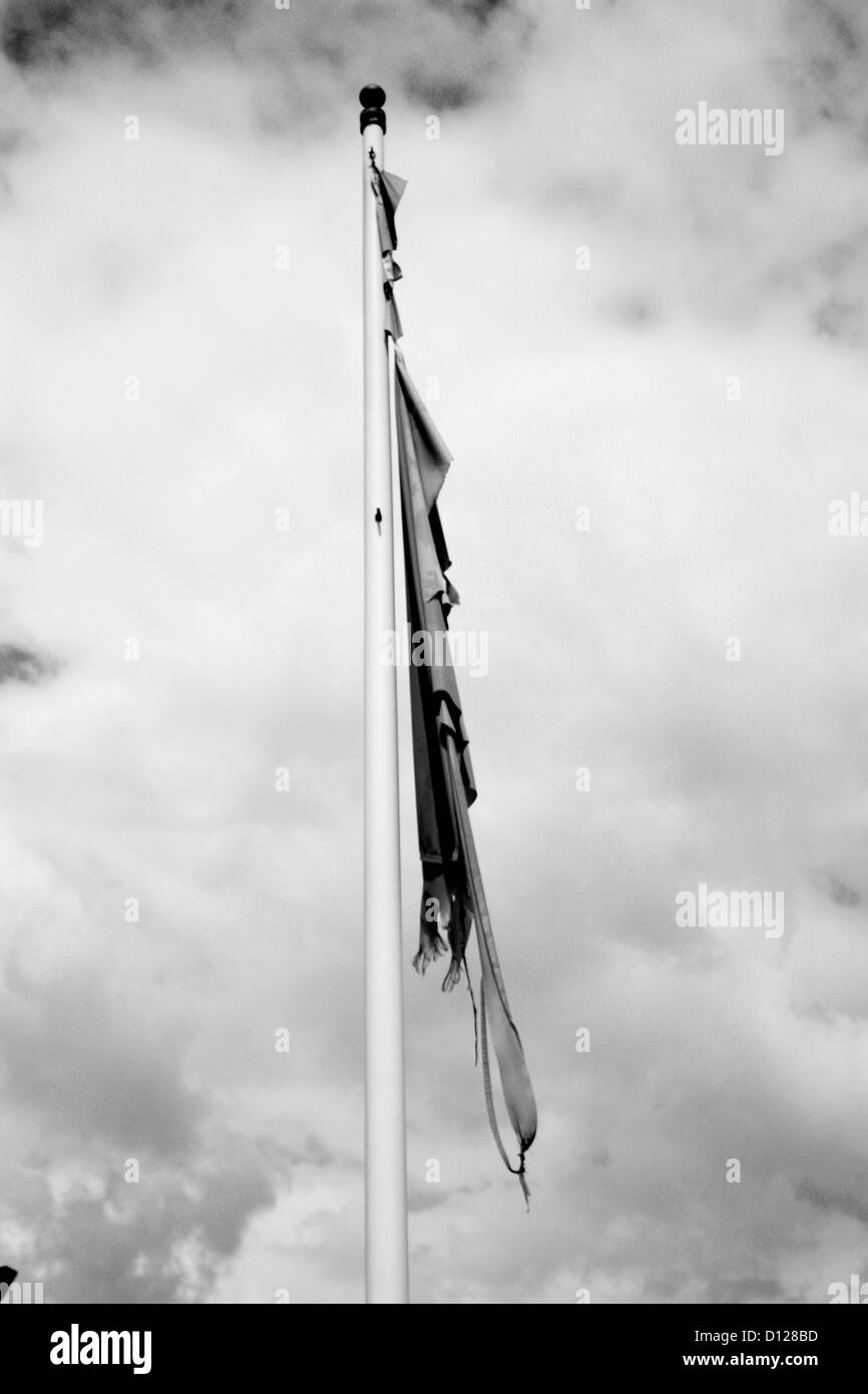 Pride Held High Stock Photo - Alamy