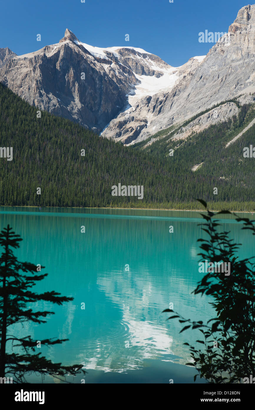 Mountains Reflecting On Mountain Lake With Blue Sky; Field British ...