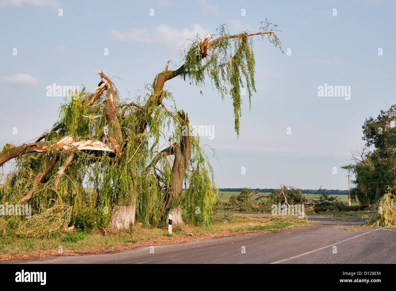 Tornado aftermath tree hi-res stock photography and images - Alamy