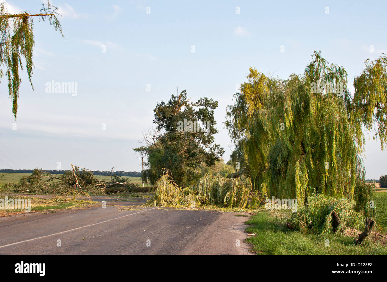 Broken willows hi-res stock photography and images - Alamy