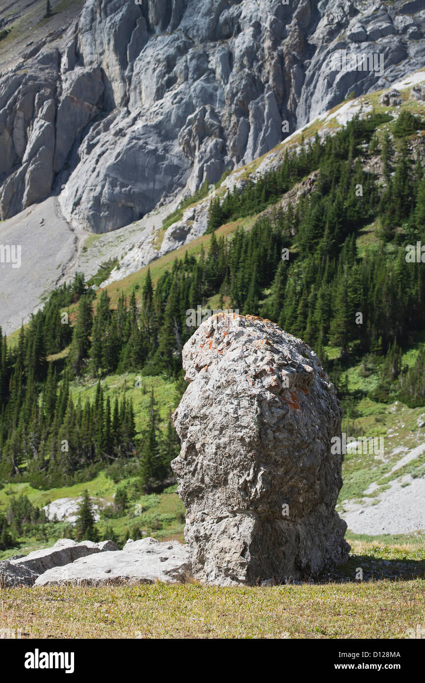 Large Rock In Mountain Meadow With Mountain In Background In Kananaskis ...