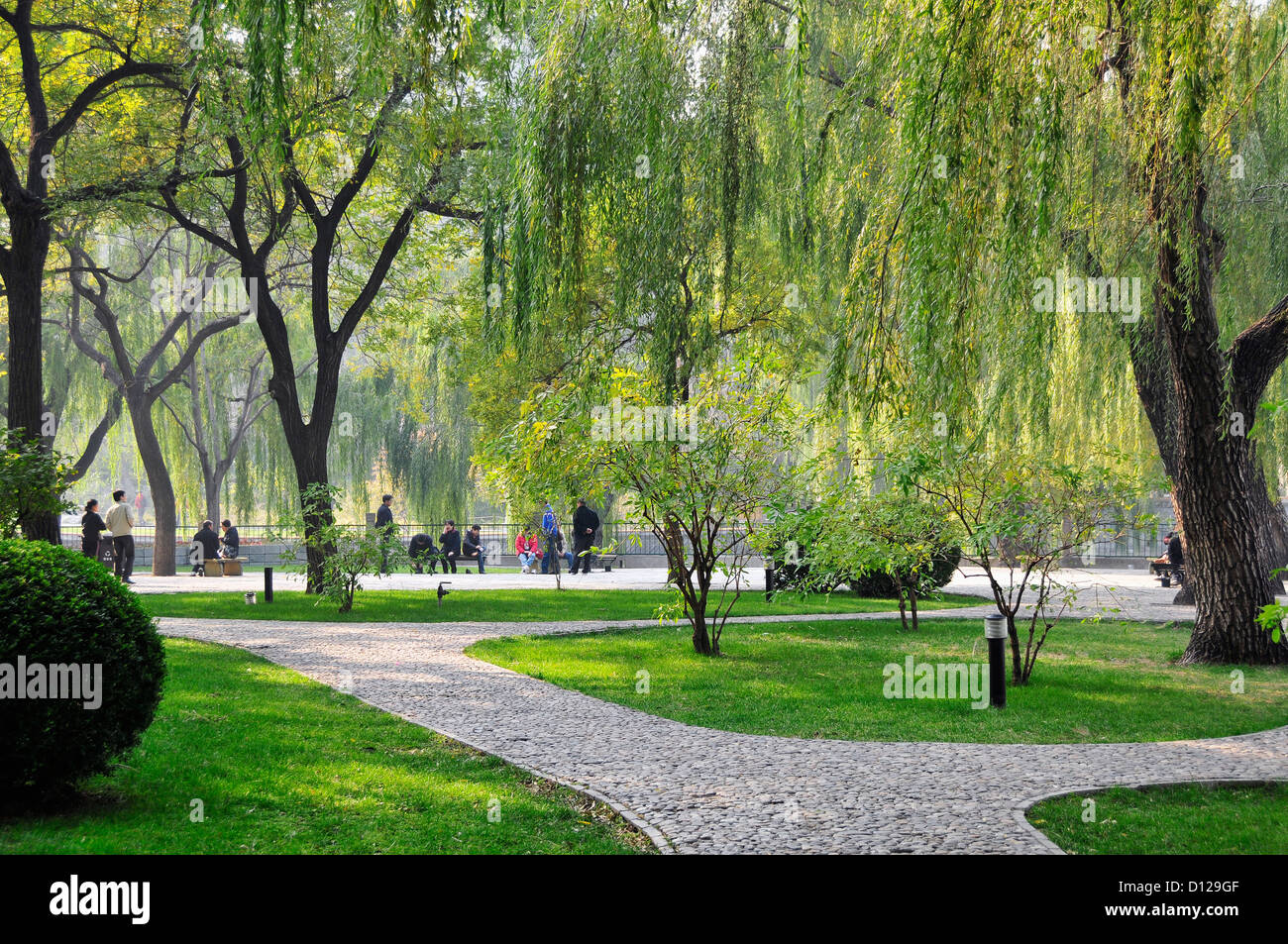 Paths Around The Trees In A Park With People Sitting On Benches At The ...