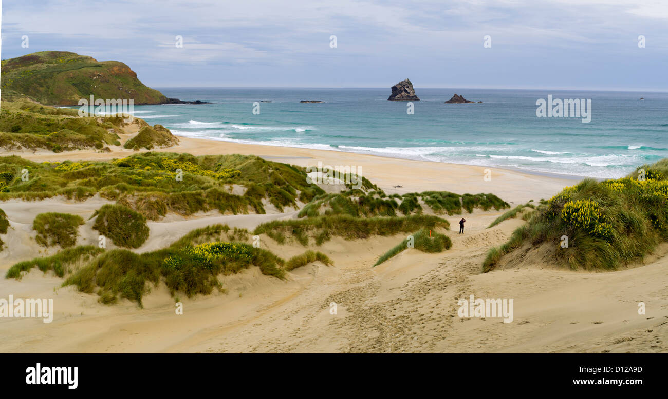 A panoramic view of a woman walking down to Sandfly Bay, on the Otago ...