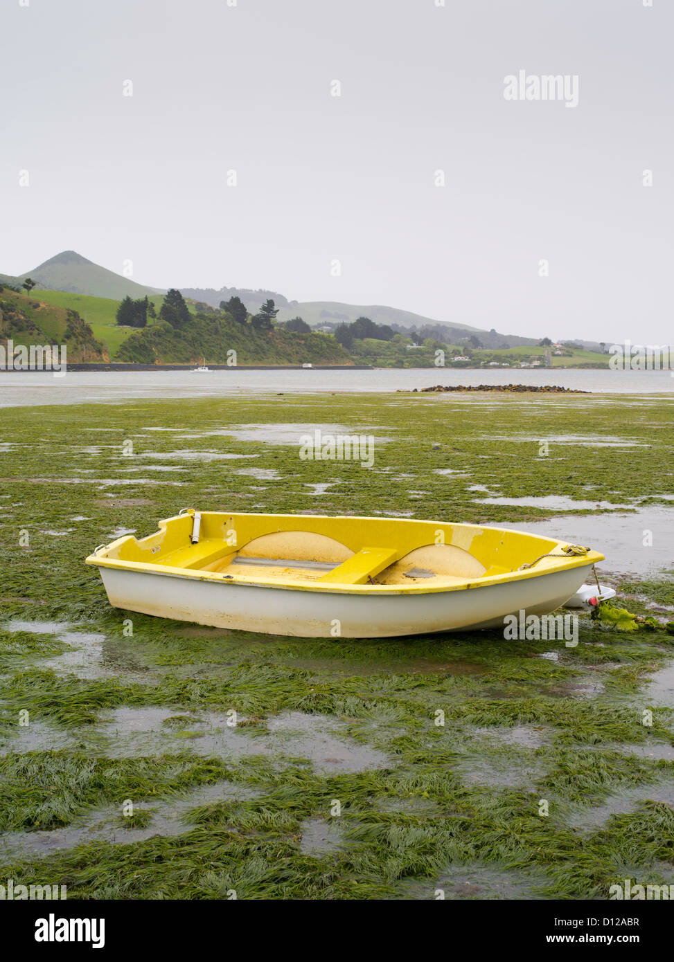 A small, yellow rowboat sits on the bottom of the bay, as the tide has ...