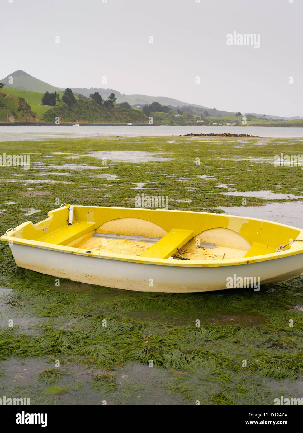 A small, yellow rowboat sits on the bottom of the bay, as the tide has ...