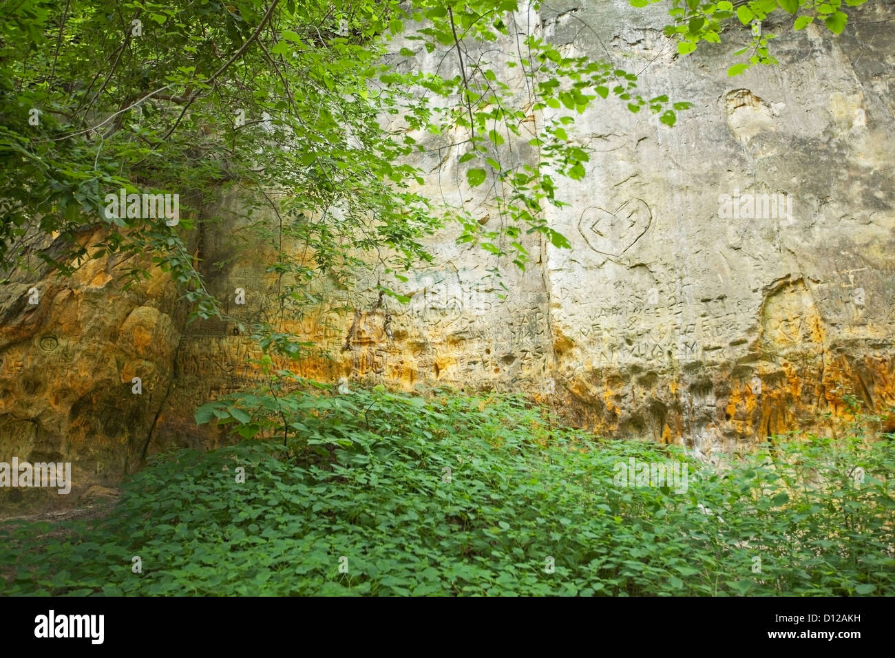 Limestone Carvings In A Forest; Minneapolis Minnesota United States Of ...