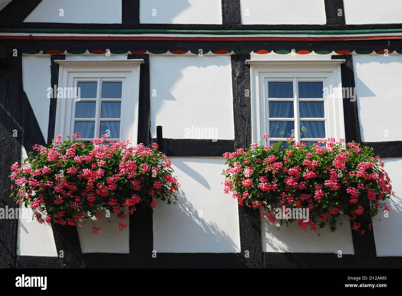 Pink Blossoming Flowers In Window Boxes; Germany Stock Photo - Alamy