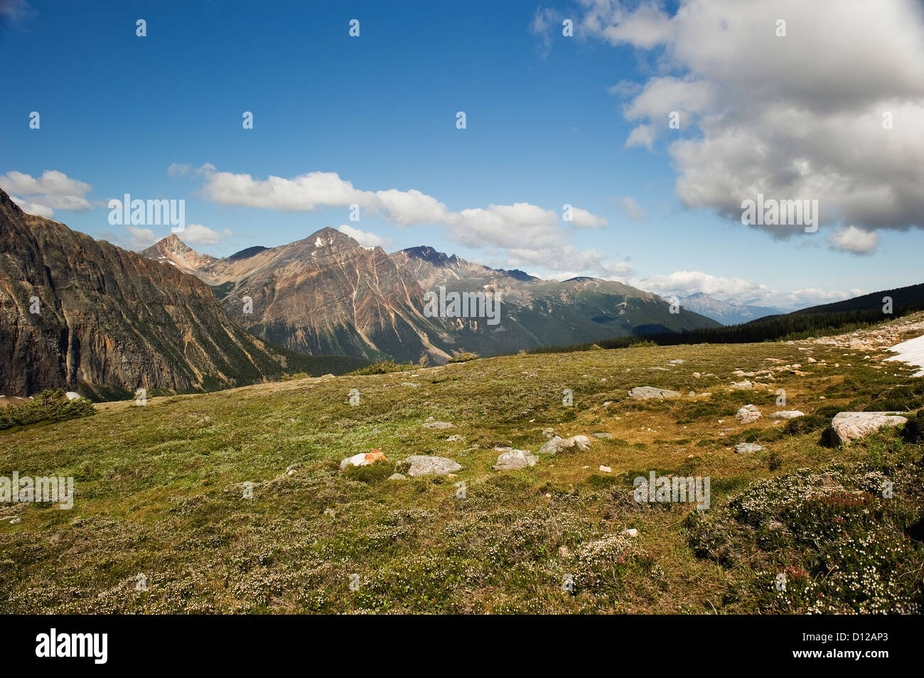 Foothills Meet The Rocky Mountains; Alberta Canada Stock Photo - Alamy