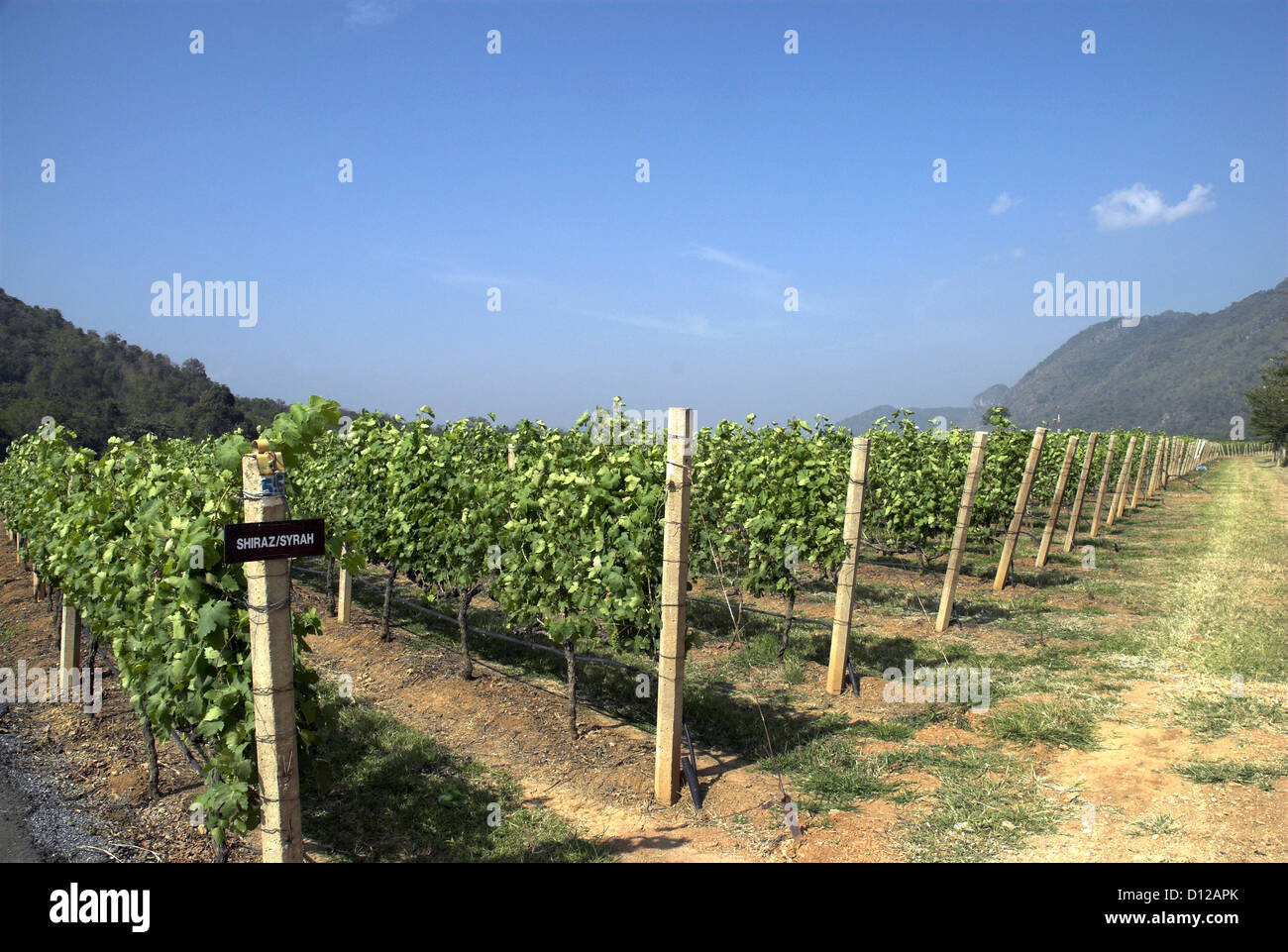 Granmonte Estate Asoke Valley Khao Yai Thailand Stock Photo - Alamy