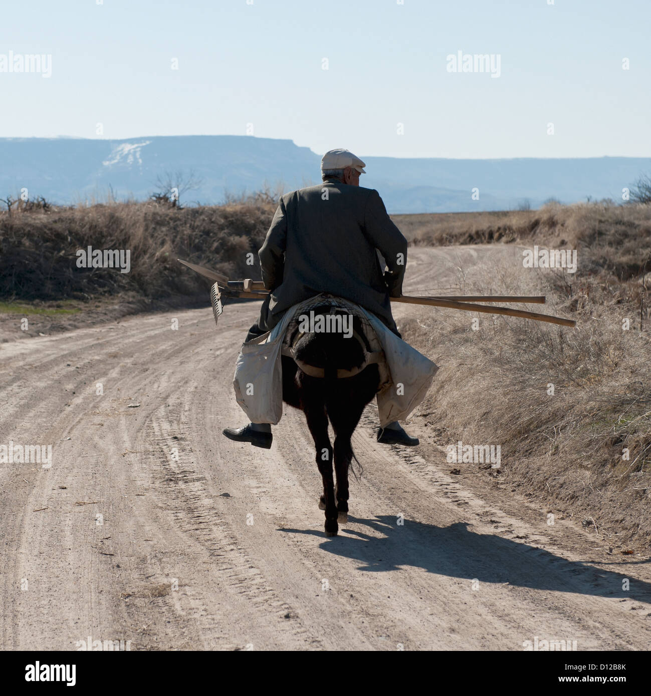 Horse hoe hi-res stock photography and images - Alamy