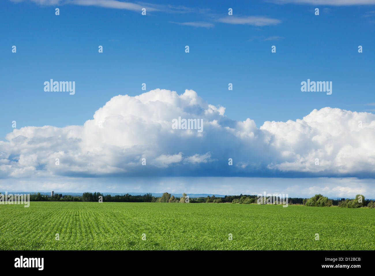 Billow cloud hi-res stock photography and images - Alamy