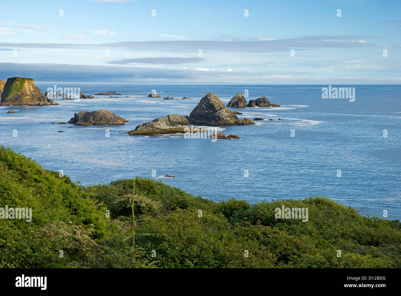 Offshore tree hi-res stock photography and images - Alamy