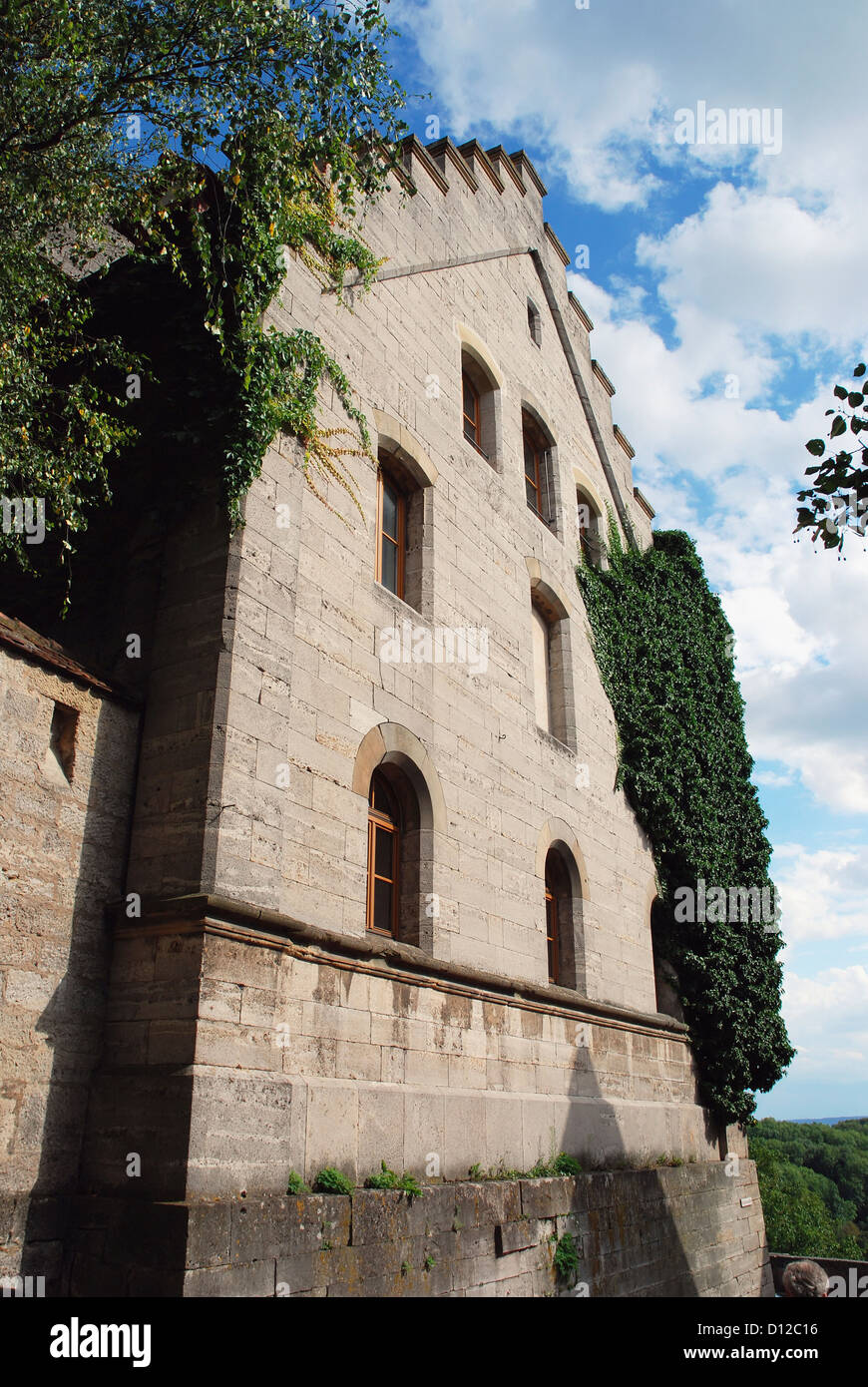 Vines Growing On The Side Of A Building; Germany Stock Photo - Alamy