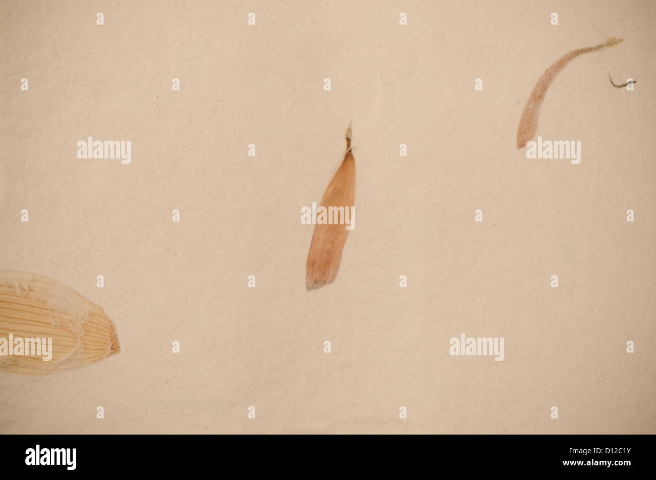 Recycled paper texture closeup background Stock Photo - Alamy
