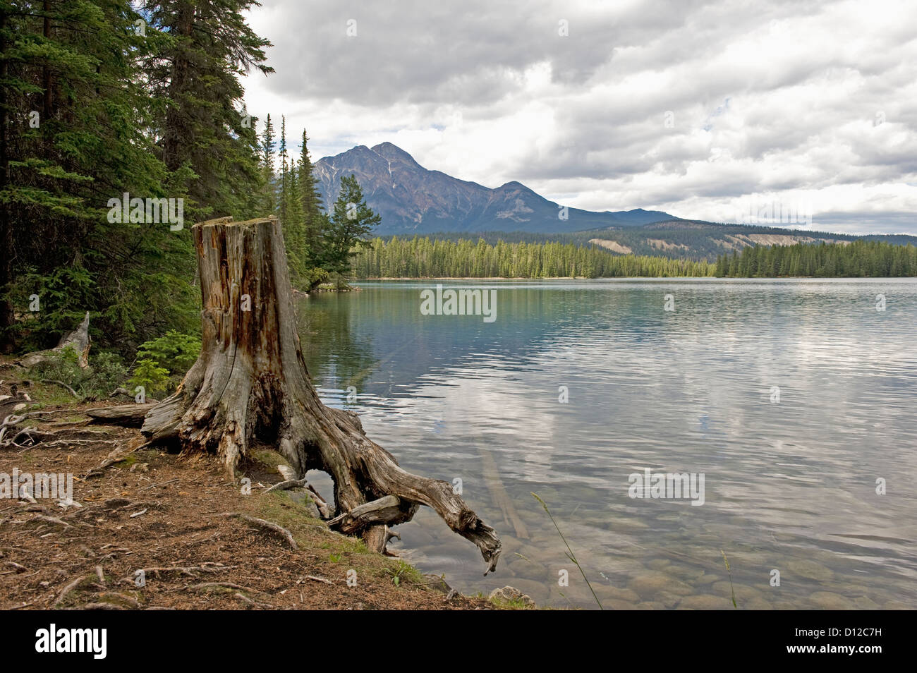 Canadian Rocky Mountains Reflected In A Lake; Alberta Canada Stock ...