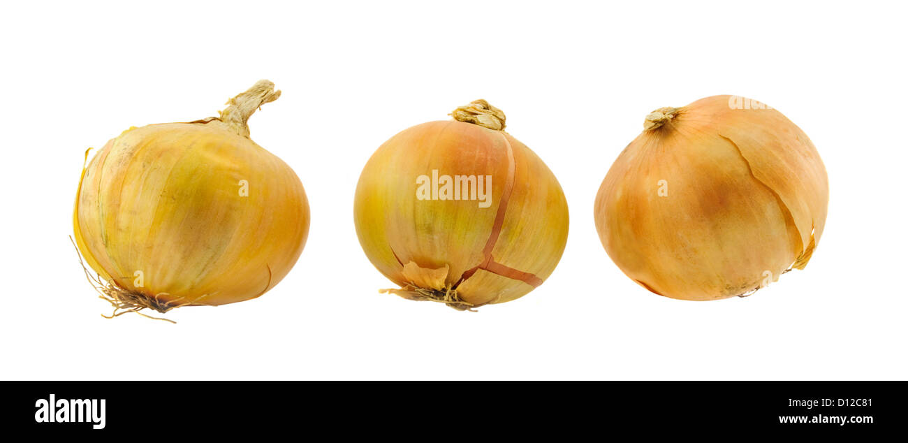 three onions isolated on a white background Stock Photo - Alamy