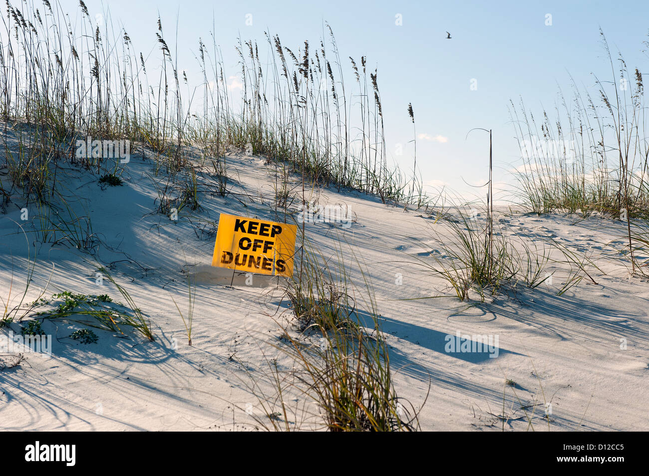 A Yellow Sign Posted In The Sand Saying Keep Off Dunes; Gulf Shores ...