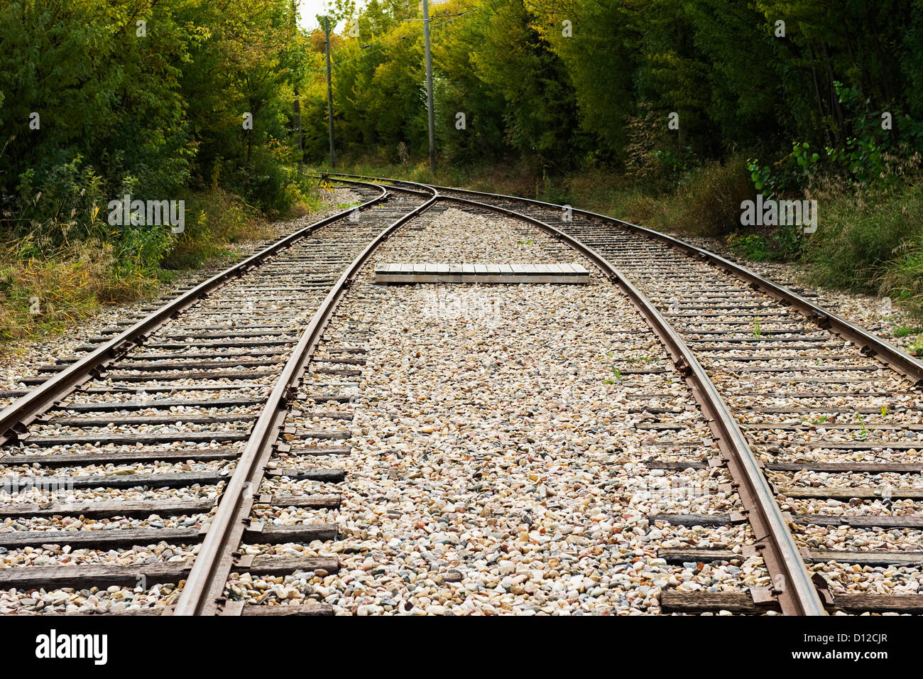 Two Sets Of Train Tracks Join Together Lined With Green Trees; Edmonton ...