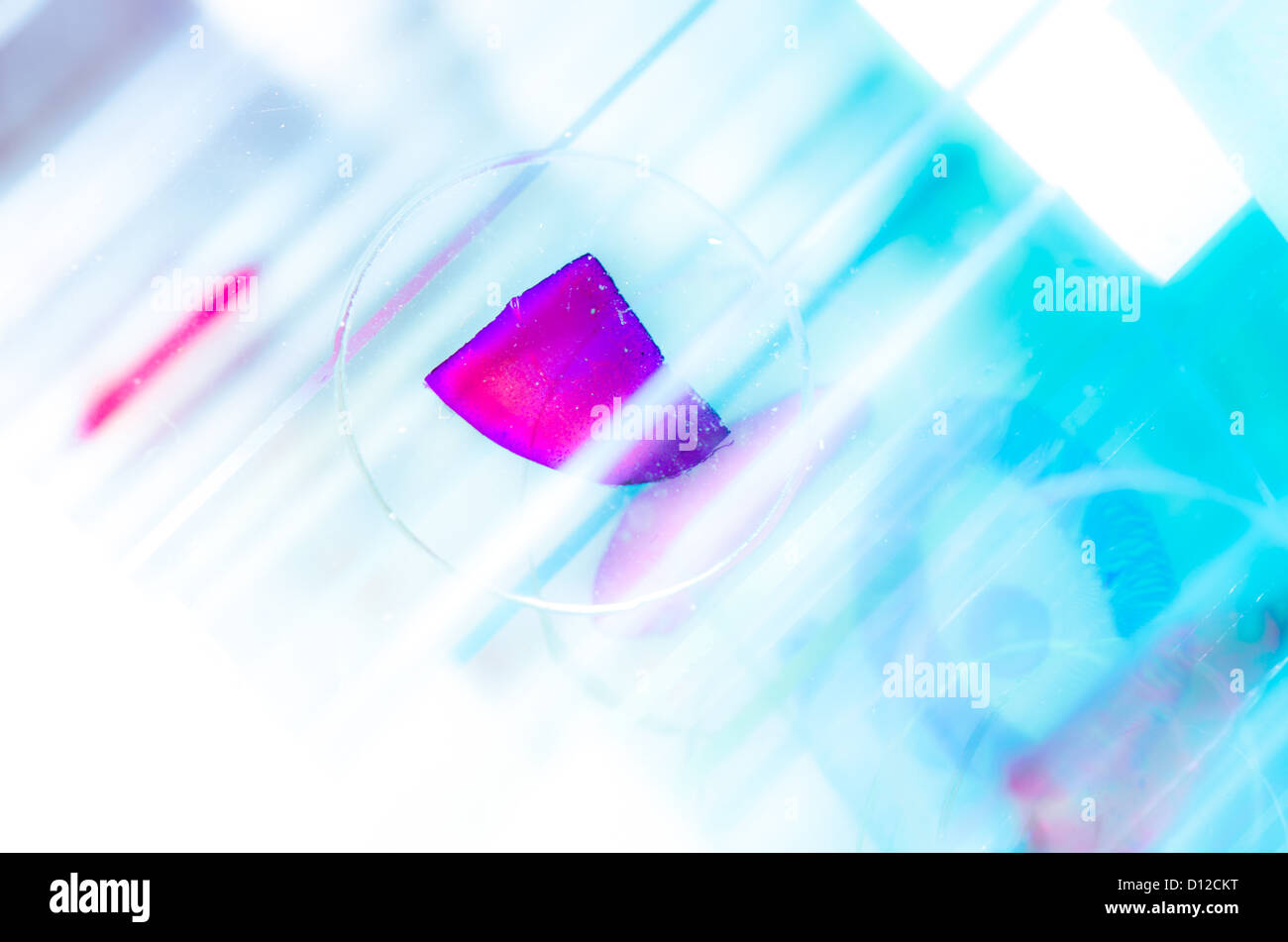 science medical glass microscope slide with sample Stock Photo - Alamy