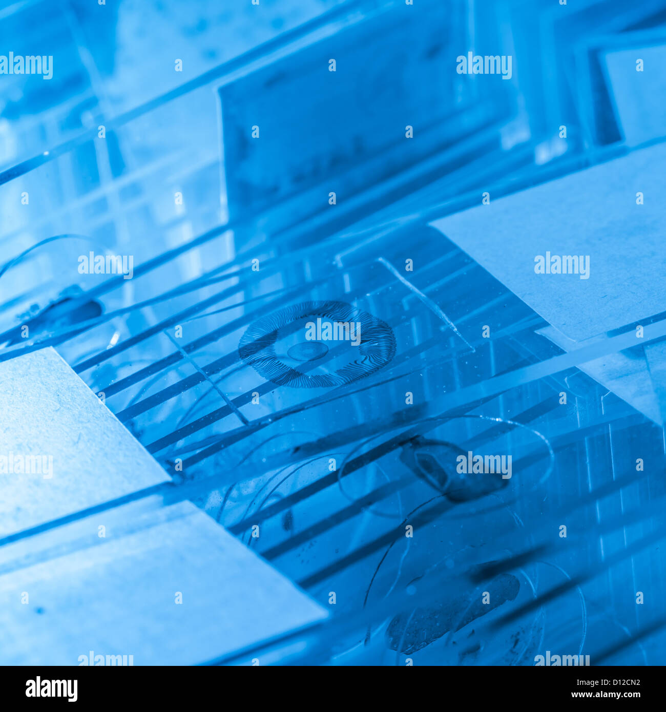 science medical glass microscope slide with sample Stock Photo - Alamy