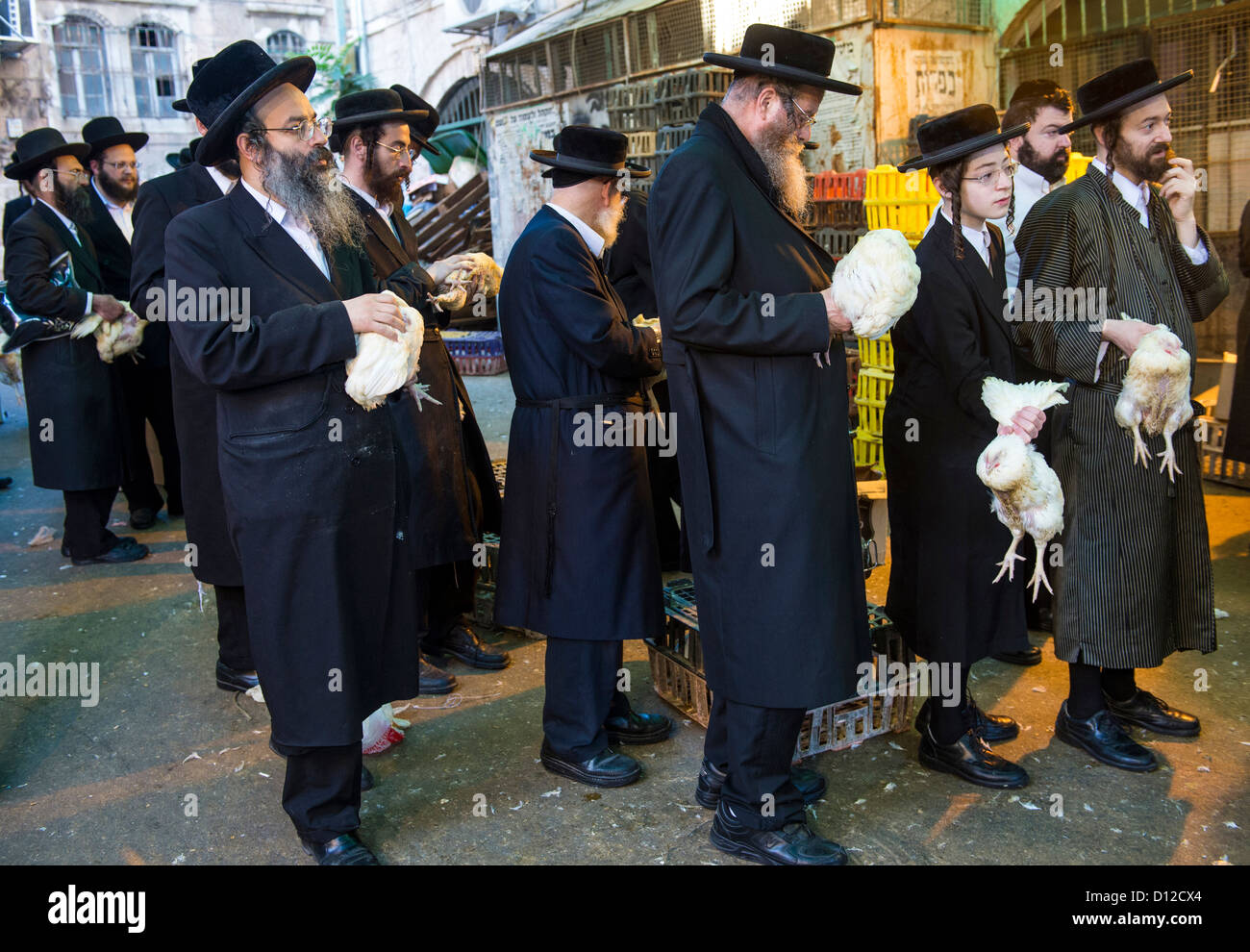 An ultra Orthodox Jewish men prays with a chicken during the Kaparot ...
