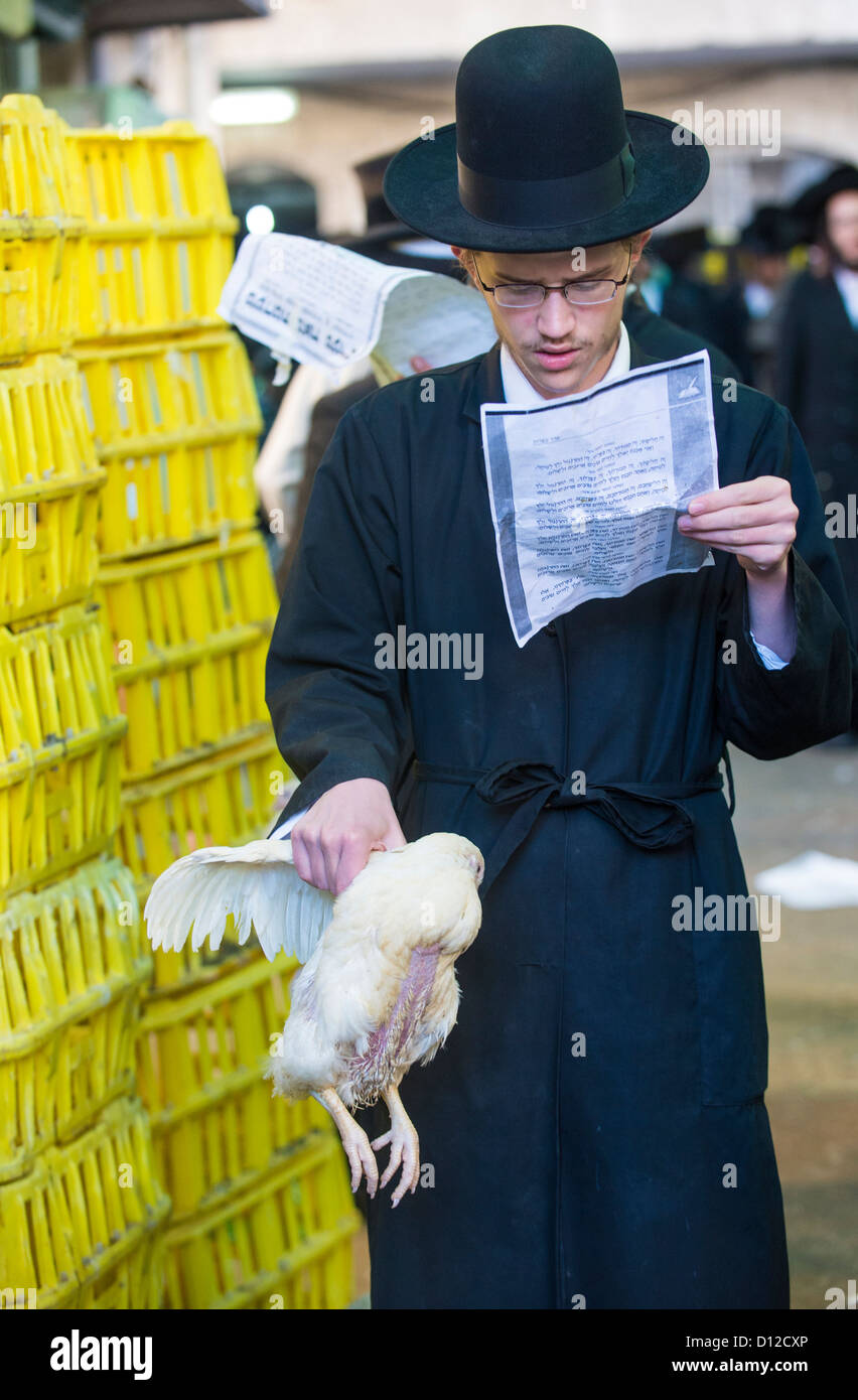 An ultra Orthodox Jewish man prays with a chicken during the Kaparot ...
