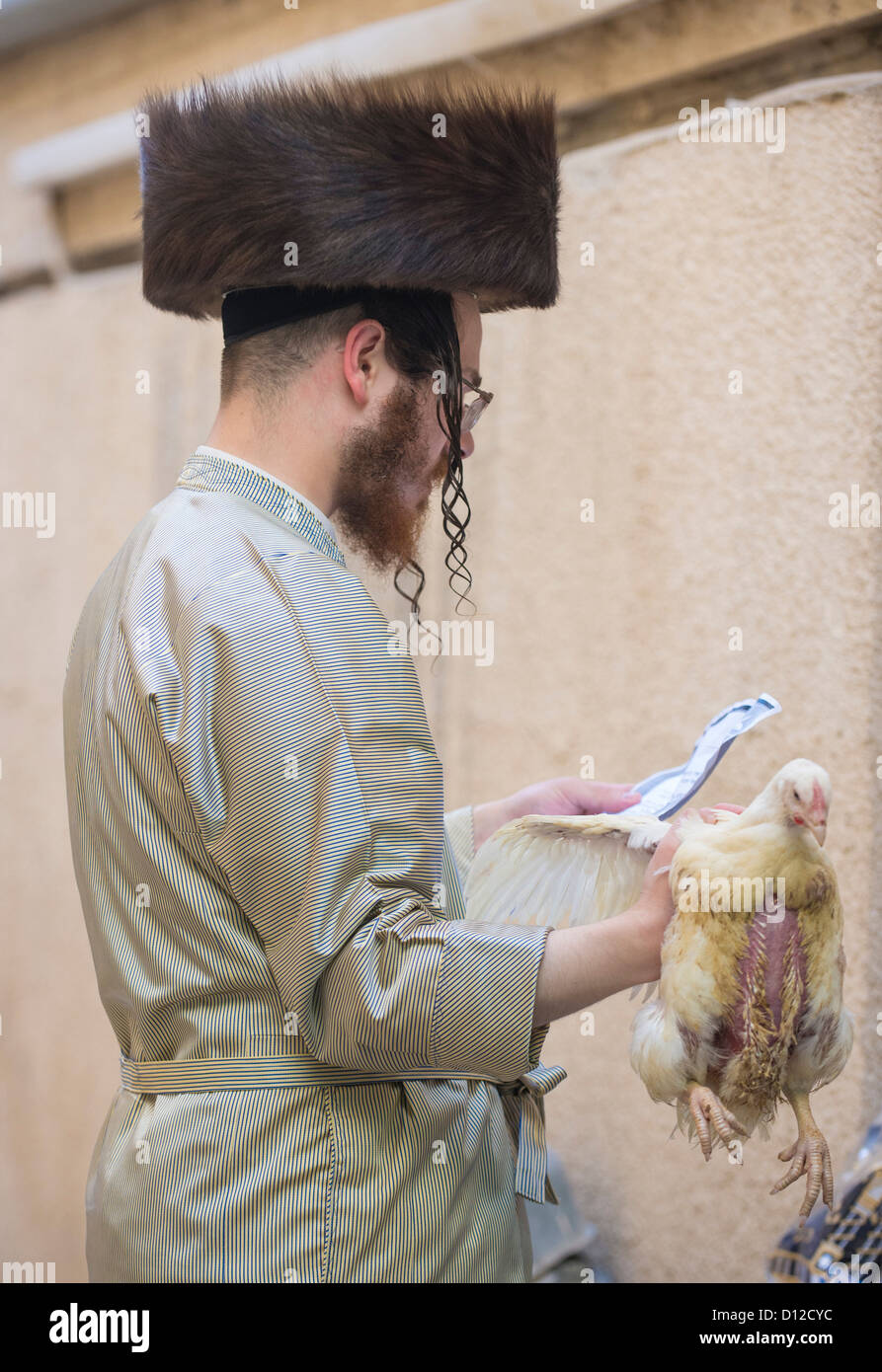 An ultra Orthodox Jewish man prays with a chicken during the Kaparot ...