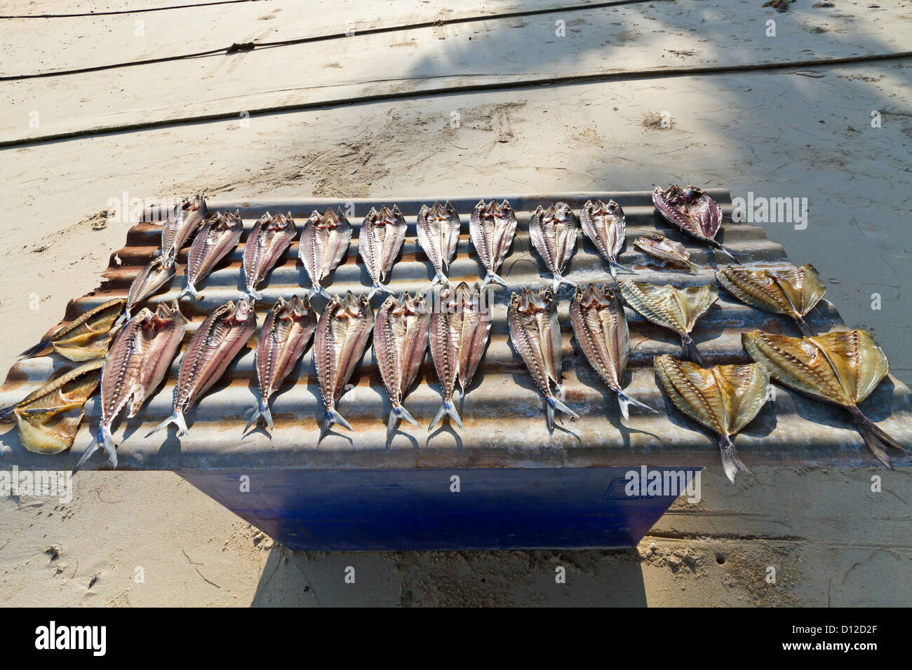 Asia laid out fish hi-res stock photography and images - Alamy