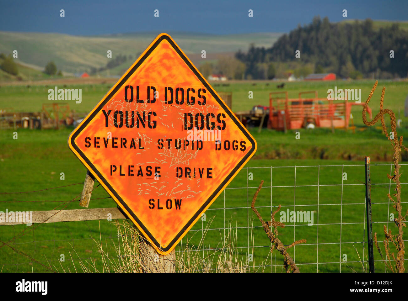 Old Dogs Young Dogs sign on a ranch in the Wallowa Valley, Oregon Stock ...