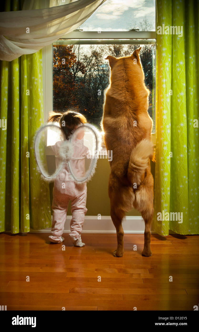 Baby girl and dog watching outside the window Stock Photo - Alamy