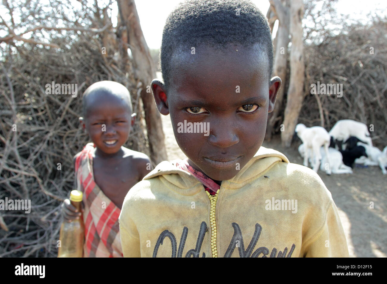 Masai children, boy in boma, Arusa region, Tanzania Stock Photo - Alamy