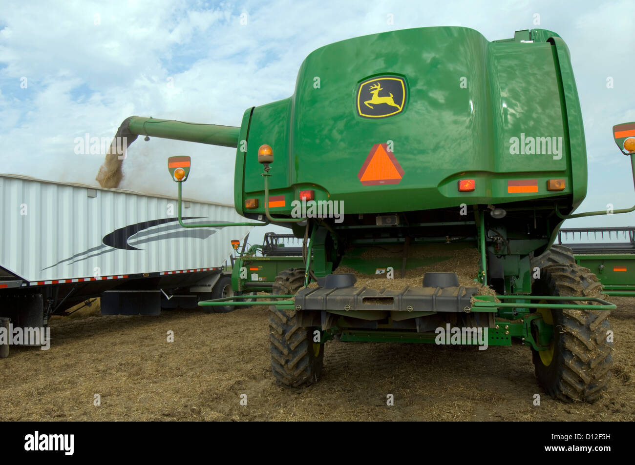 Combining wheat hi-res stock photography and images - Alamy