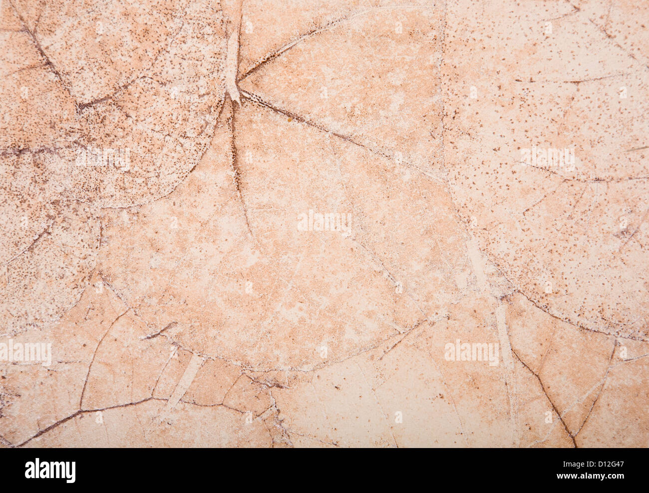 Ceramic tile texture hi-res stock photography and images - Alamy