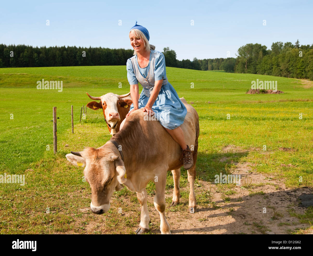 Mature woman with cow on farm hi-res stock photography and images - Alamy