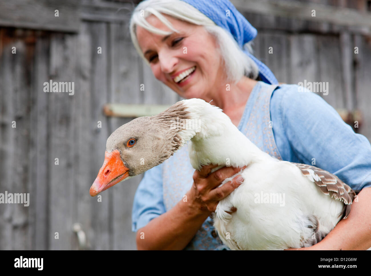 Germany, Bavaria, Mature woman with goose on farm Stock Photo - Alamy