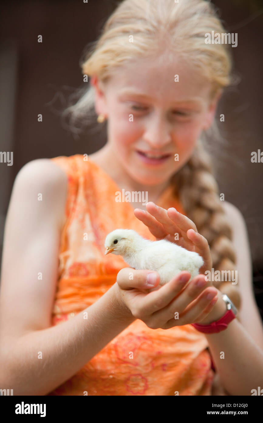 Germany, Bavaria, Girl with baby chick, close up Stock Photo - Alamy
