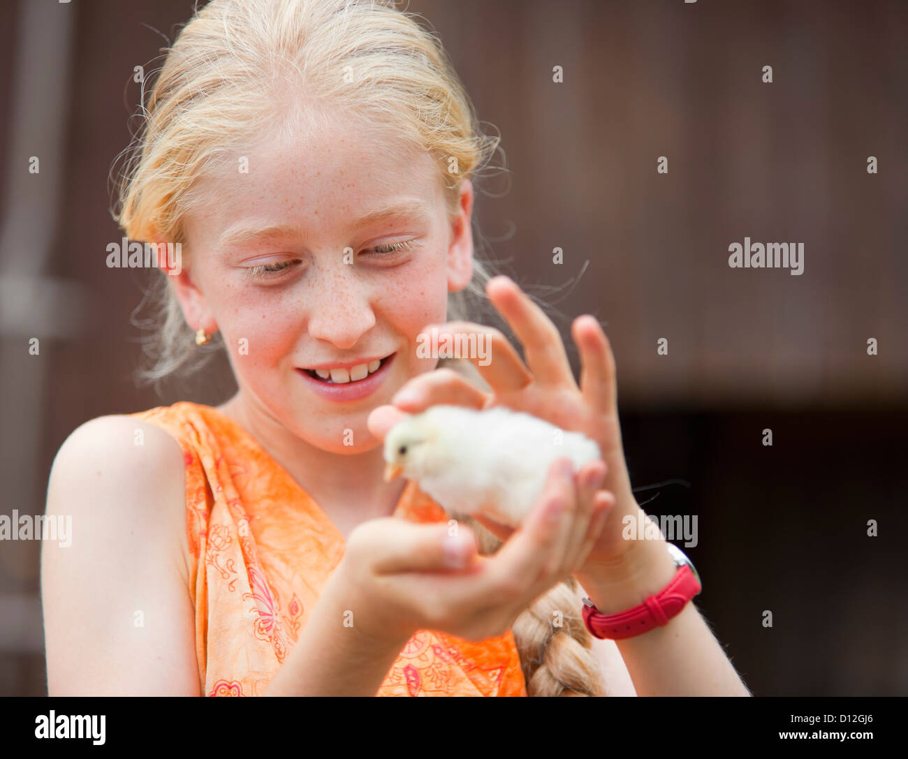 Germany, Bavaria, Girl with baby chick, close up Stock Photo - Alamy