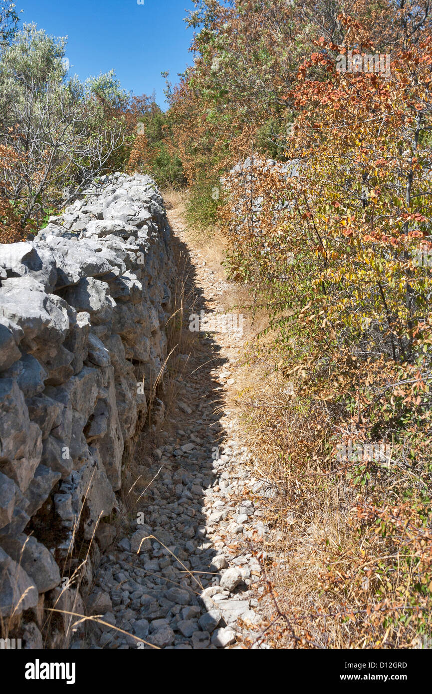 Old traditional stone fences built across Croatia Stock Photo - Alamy
